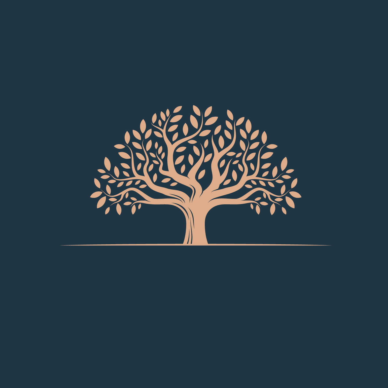 Appointment | Oak Financial